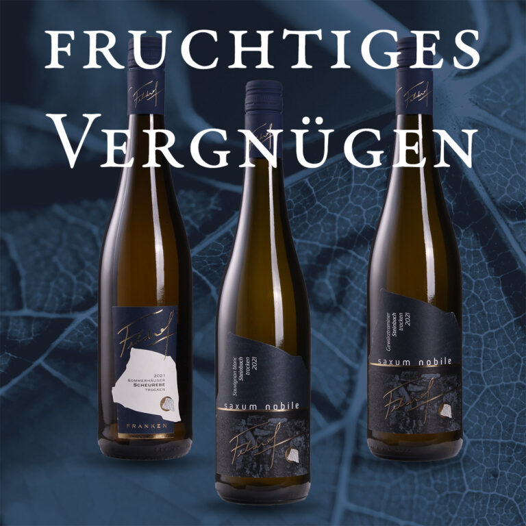 Weingut & Gästehaus Felshof - Familie Wenninger - Sommerhausen